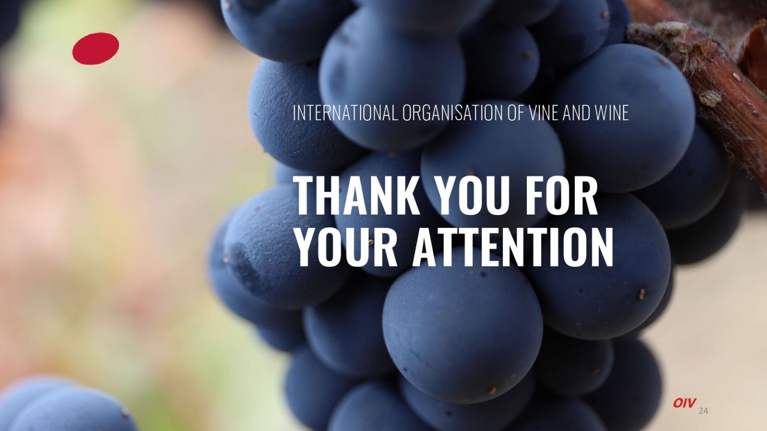 OIV：2023年全球葡萄酒行业报告 | 互联网数据资讯网-199IT | 中文互联网数据研究资讯中心-199IT