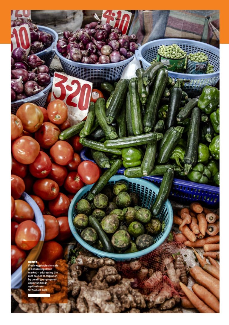 FAO：2023年世界粮食安全和营养状况报告 | 互联网数据资讯网-199IT | 中文互联网数据研究资讯中心-199IT