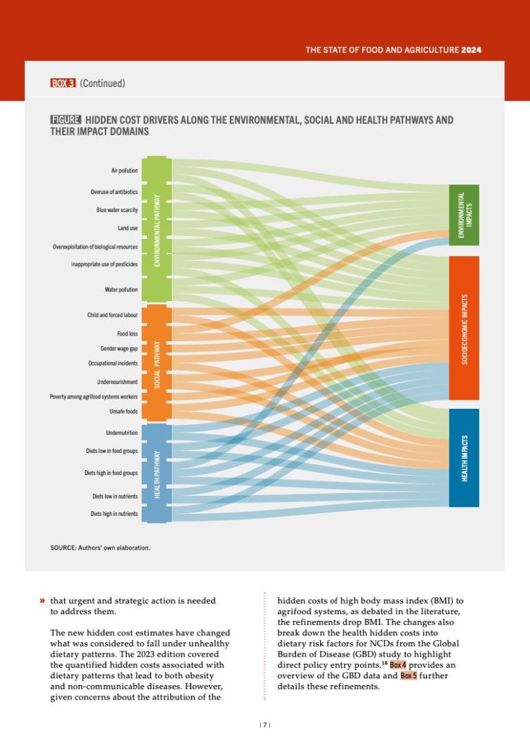 FAO：2024年粮食及农业状况报告 | 互联网数据资讯网-199IT | 中文互联网数据研究资讯中心-199IT